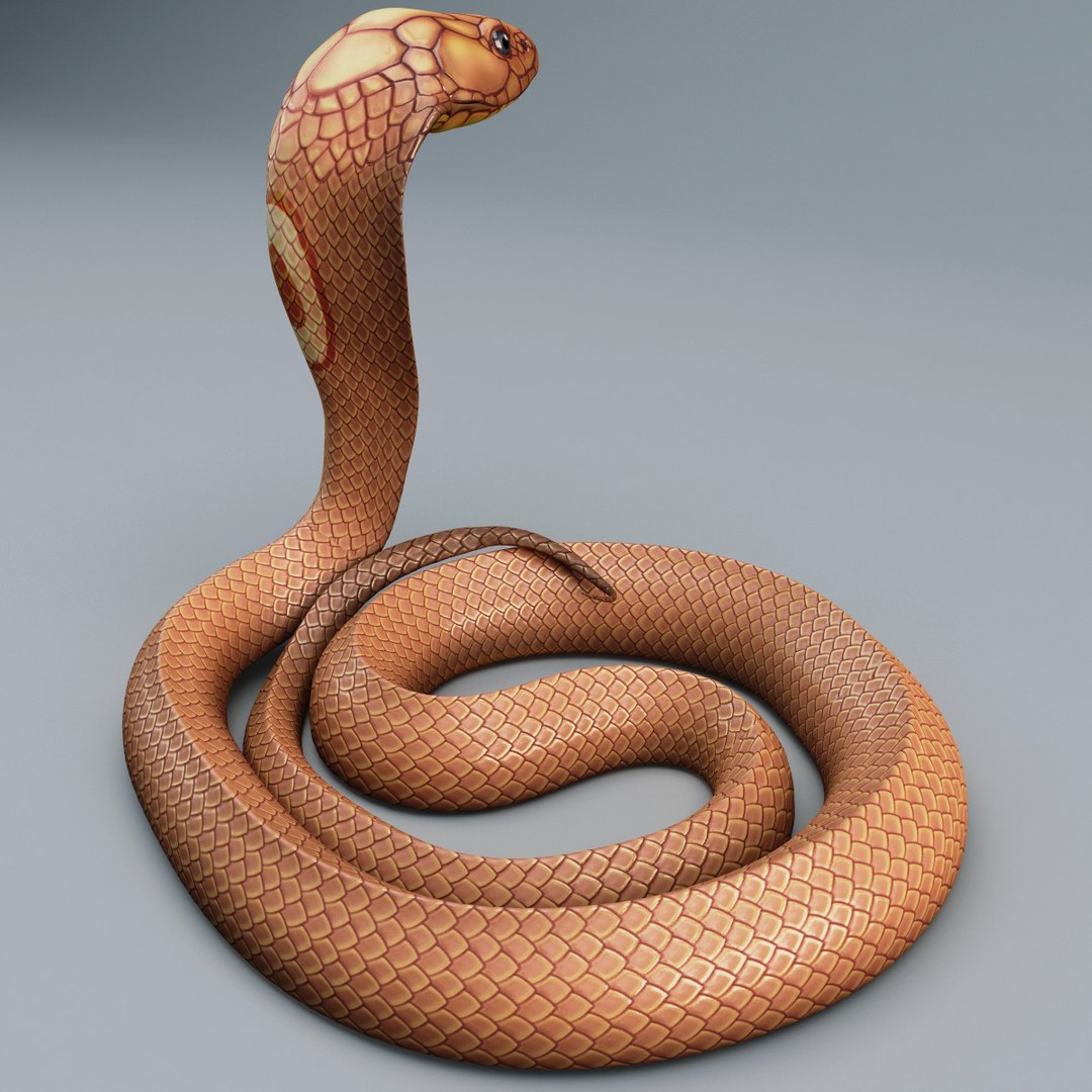 Snake Cobra Rigged Max