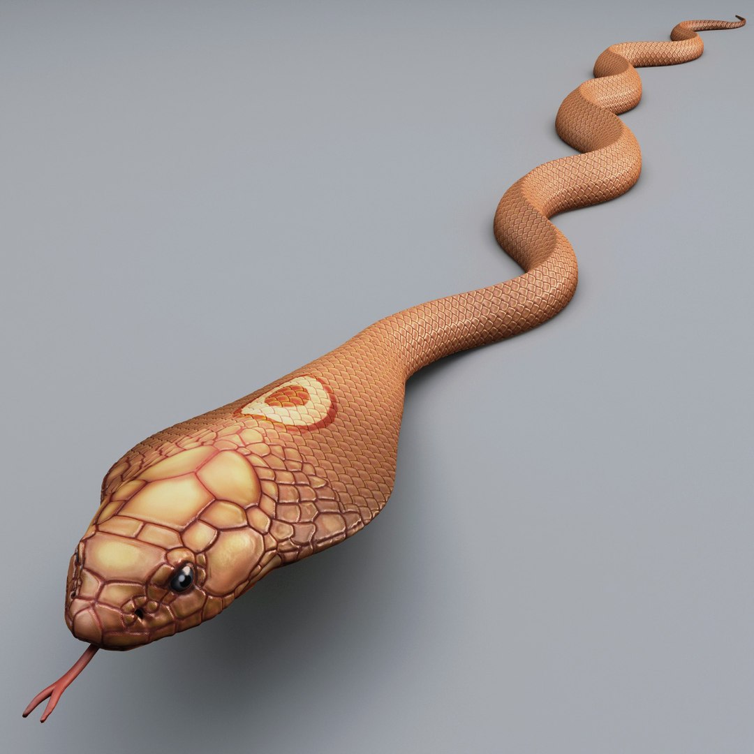 Snake Cobra Rigged Max