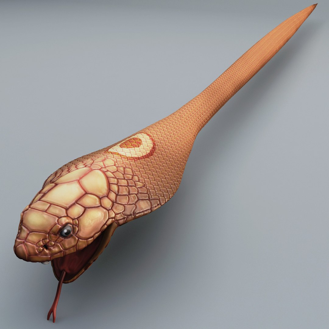 Snake Cobra Rigged Max