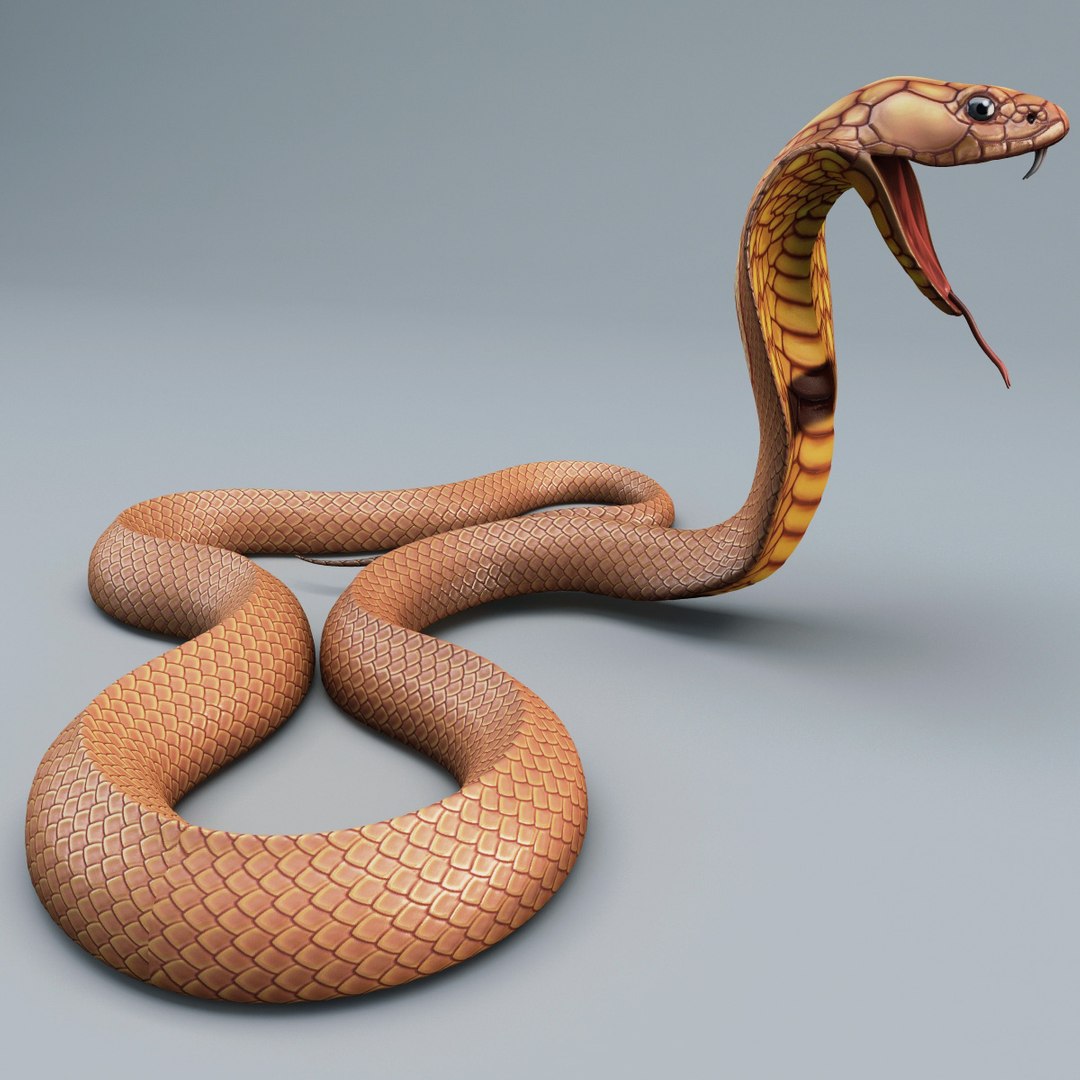 Snake Cobra Rigged Max