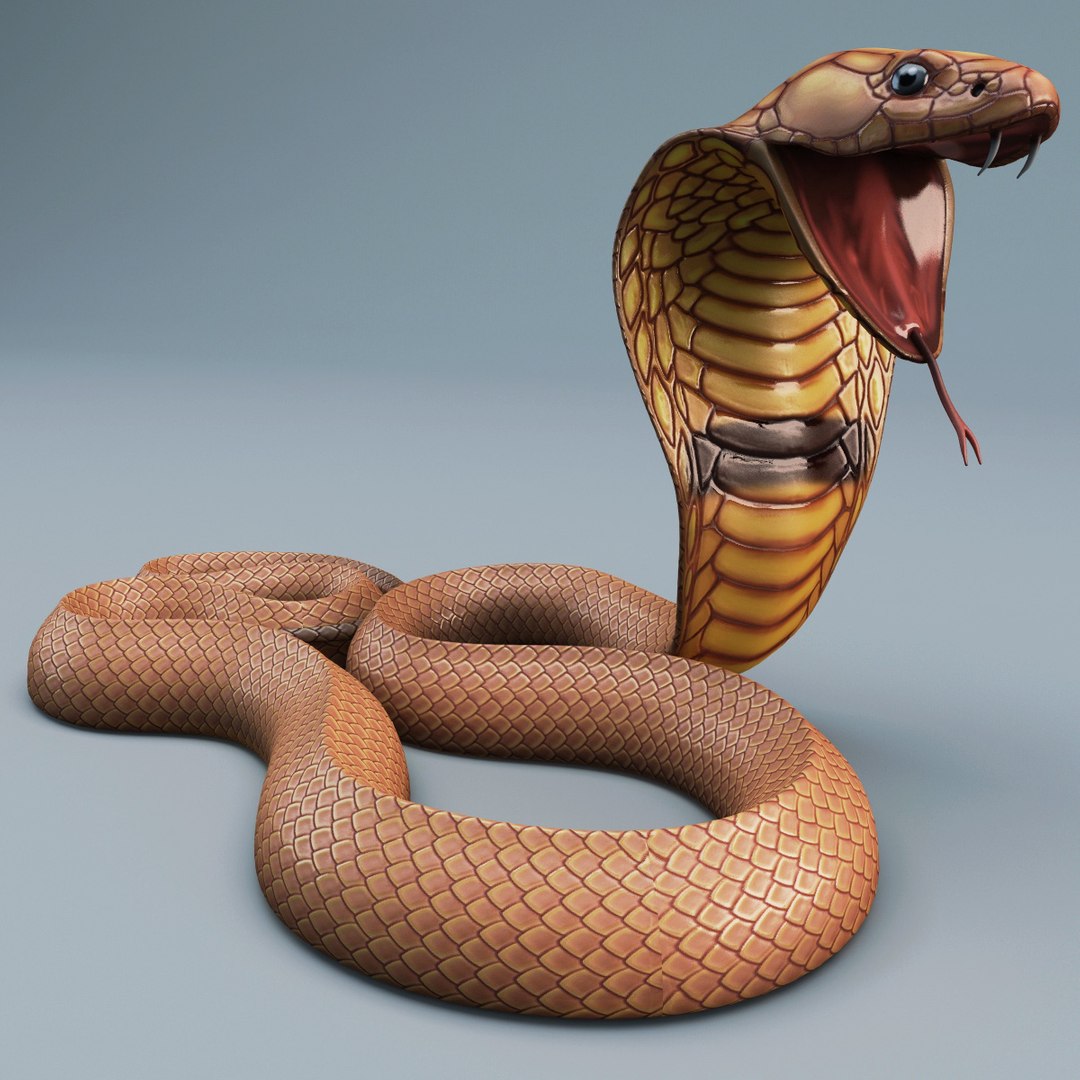 Snake Cobra Rigged Max