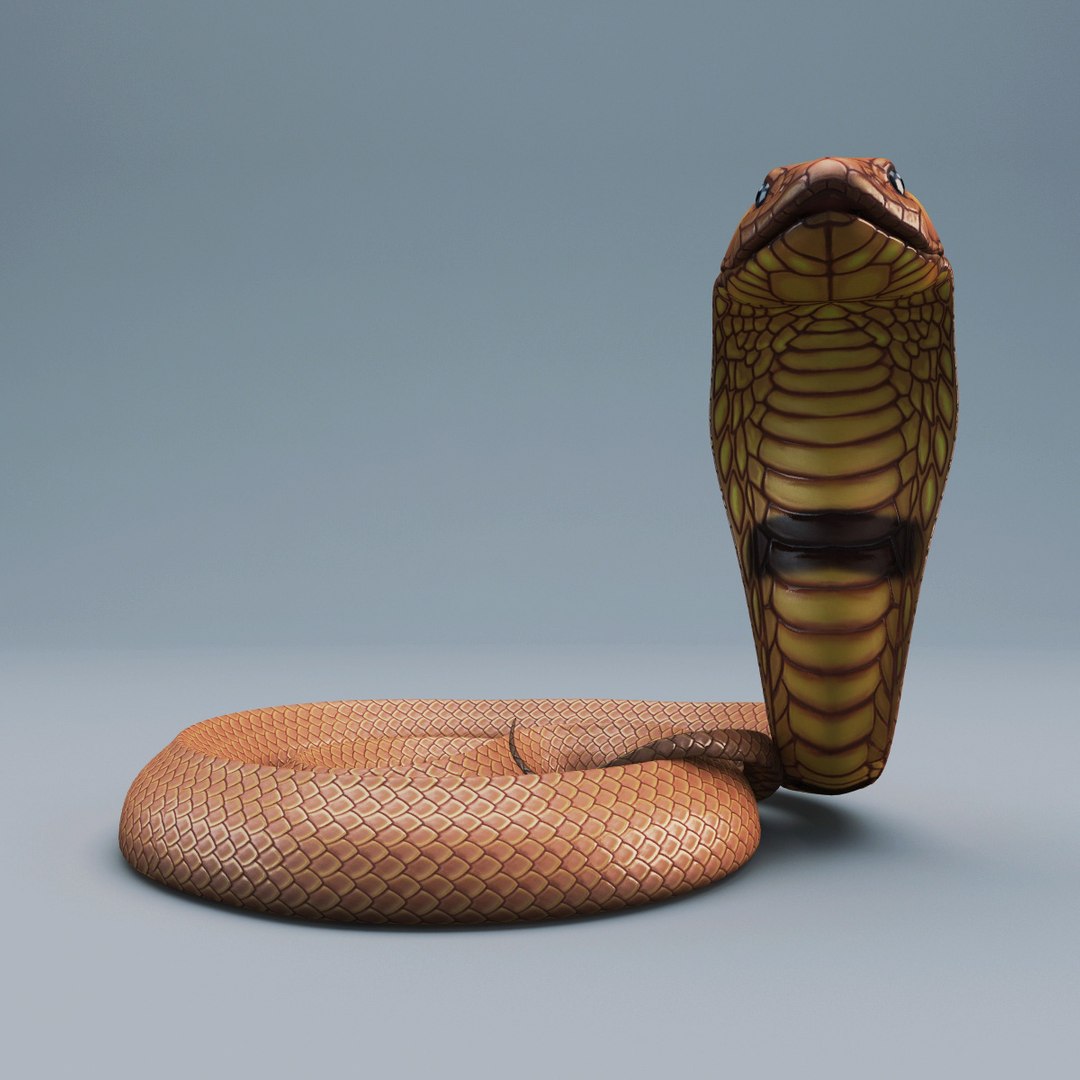 Snake Cobra Rigged Max