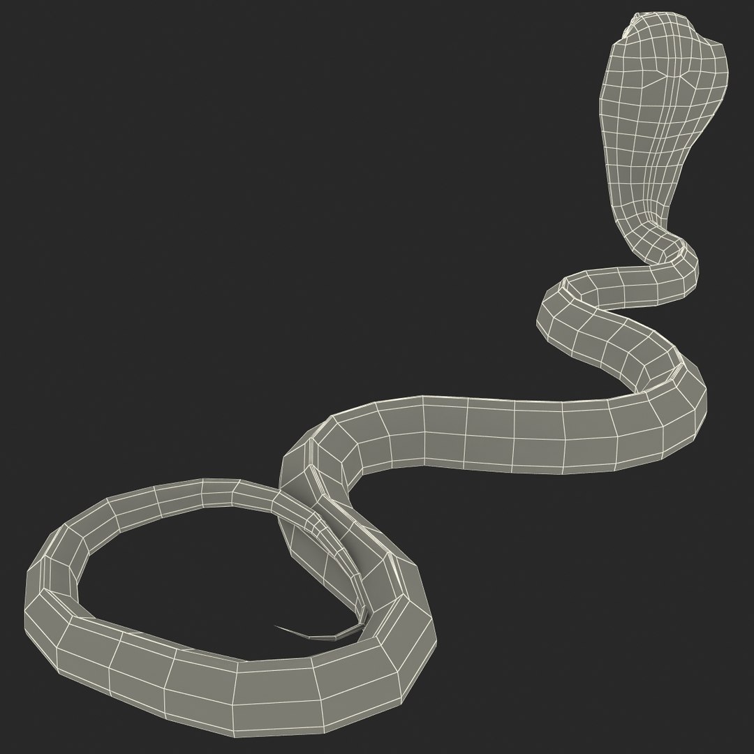 Snake Cobra Rigged Max
