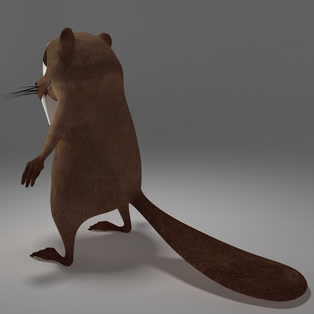 Beaver Cartoon 3d Model