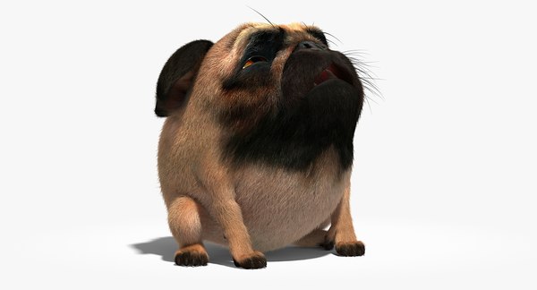 Character rig pug 3D model - TurboSquid 1354808