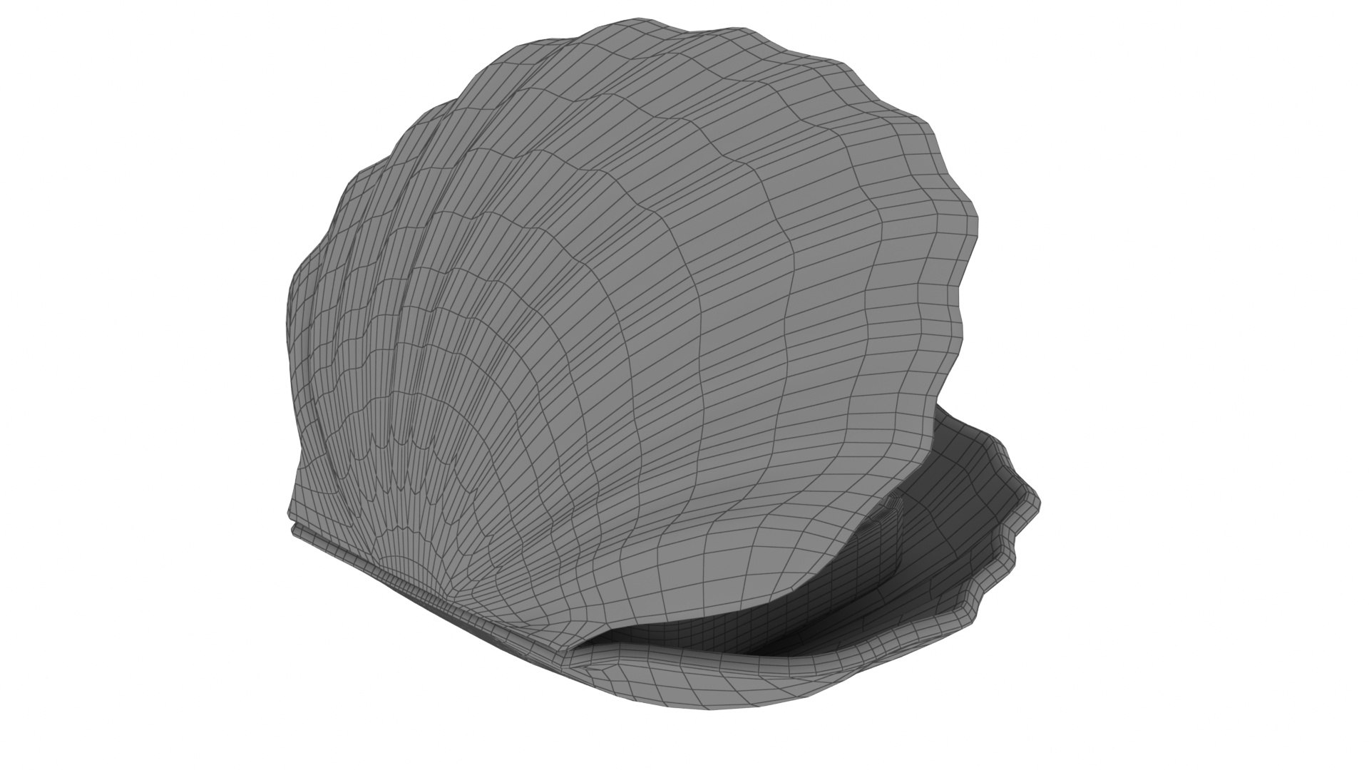 Cartoon Sea Shell 01 Model - TurboSquid 2088540