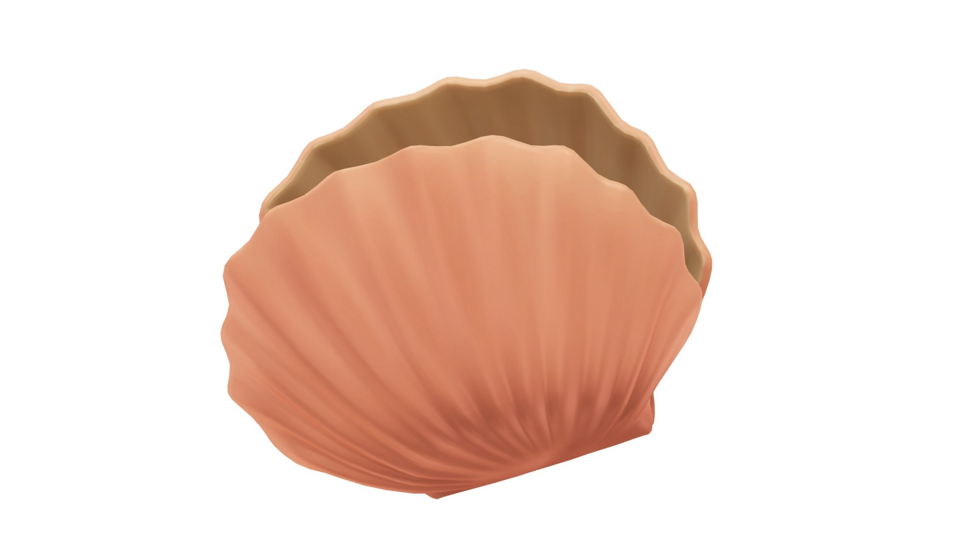 Cartoon Sea Shell 01 Model - TurboSquid 2088540