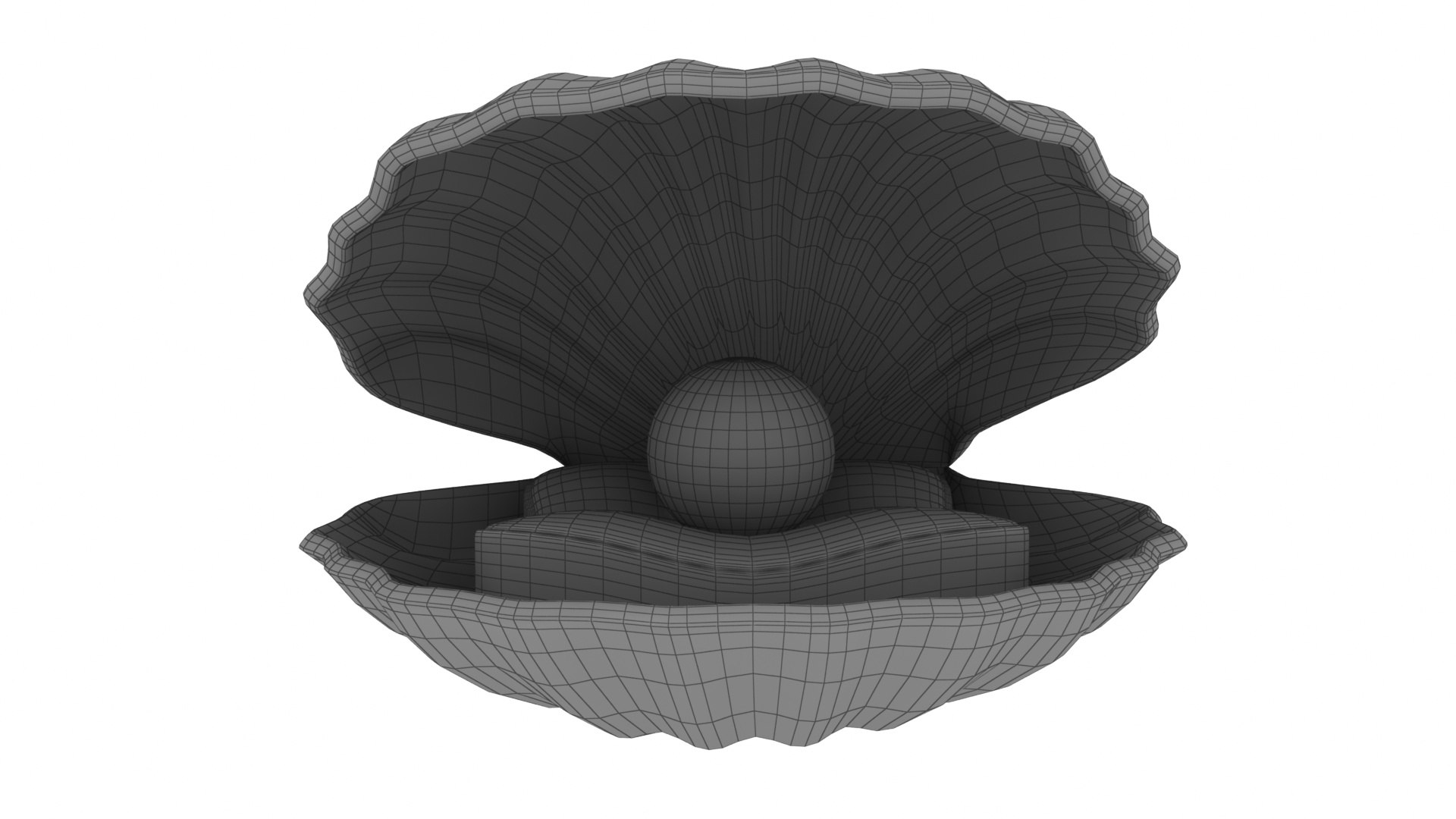 Cartoon Sea Shell 01 Model - TurboSquid 2088540