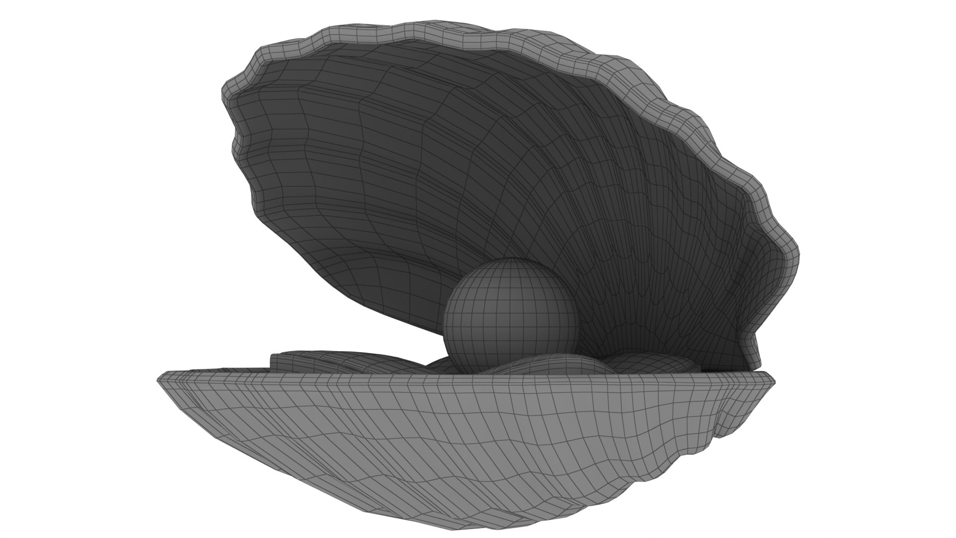 Cartoon Sea Shell 01 Model - TurboSquid 2088540