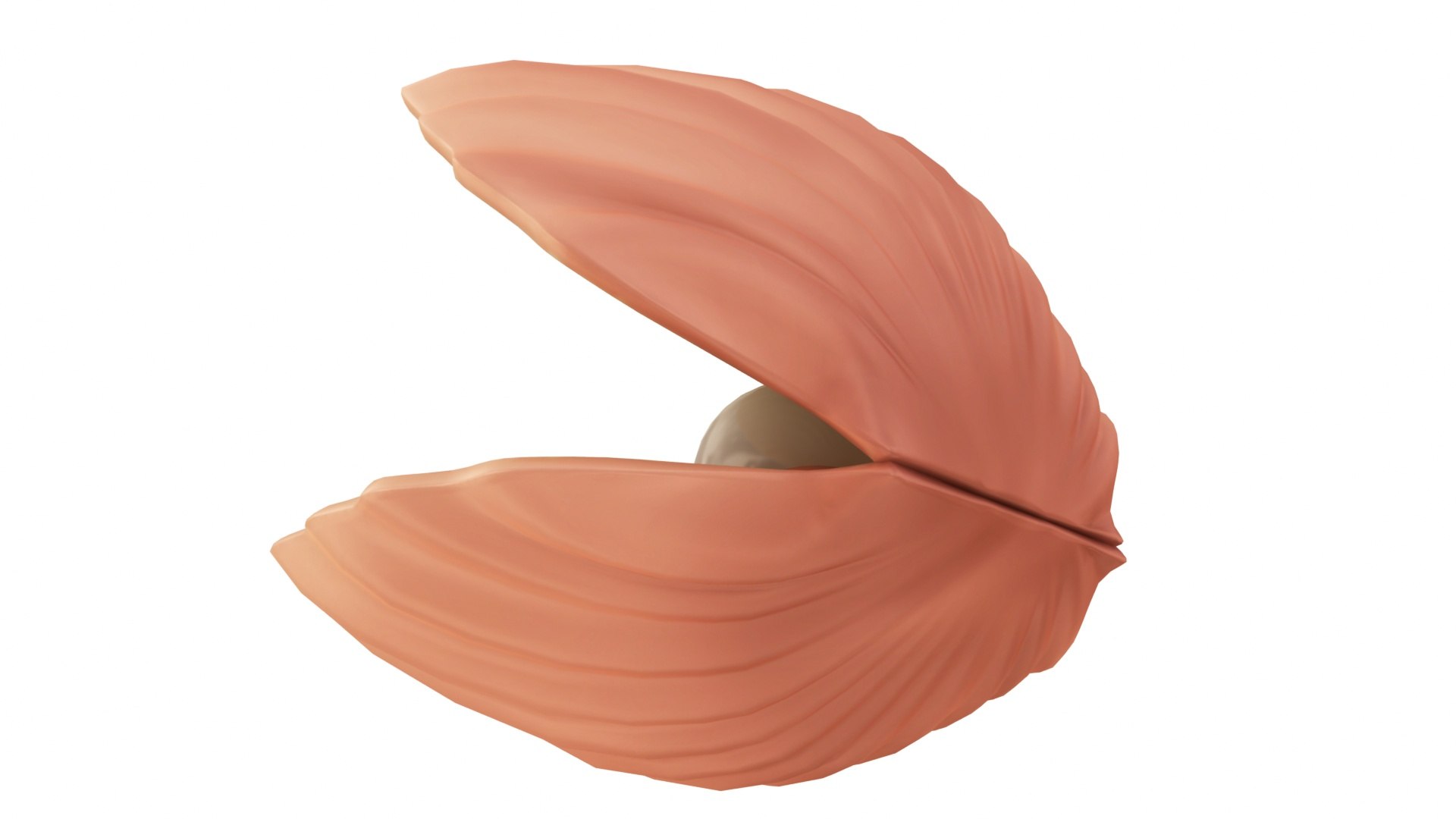 Cartoon Sea Shell 01 Model - TurboSquid 2088540