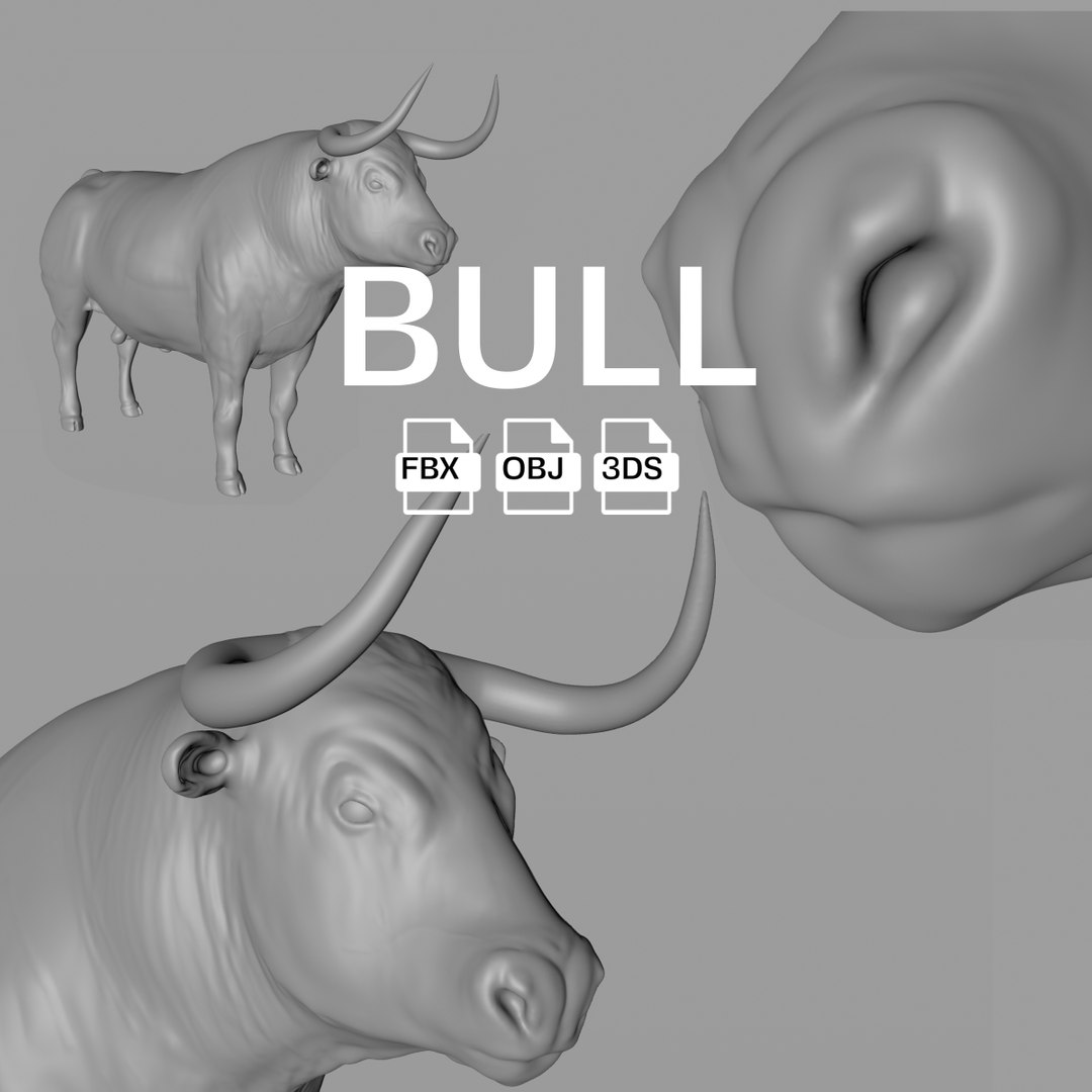 Bull Sculpt Base Pose 3D Model - TurboSquid 2040651