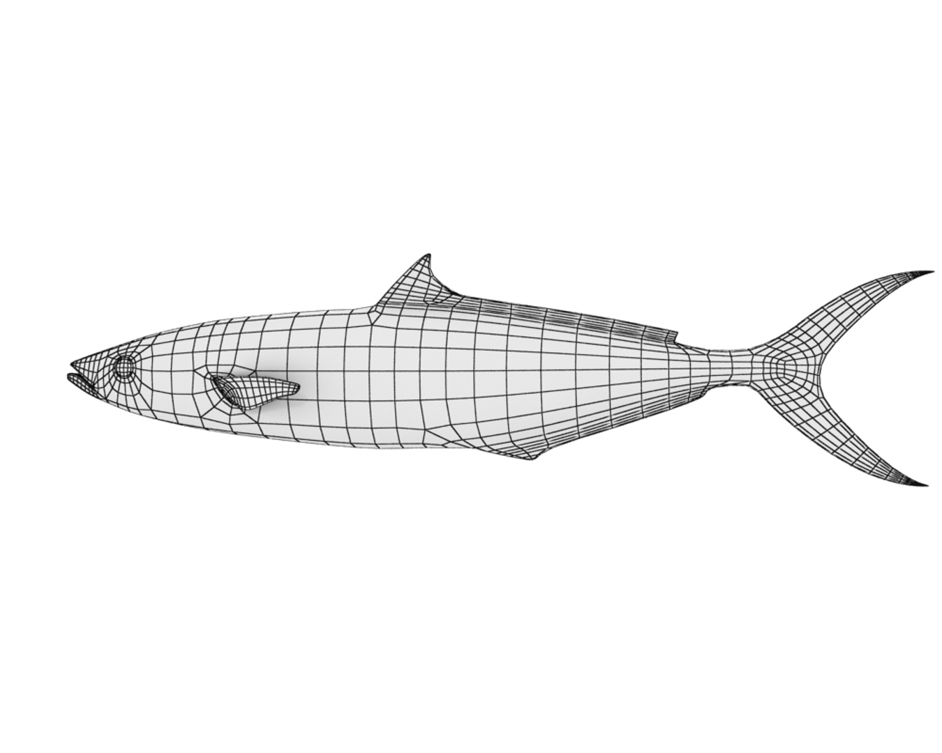 3d rainbow runner yellowtail salmon model