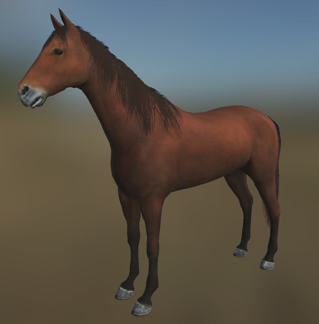3D Horse Rigged - Animations Model - TurboSquid 1545317