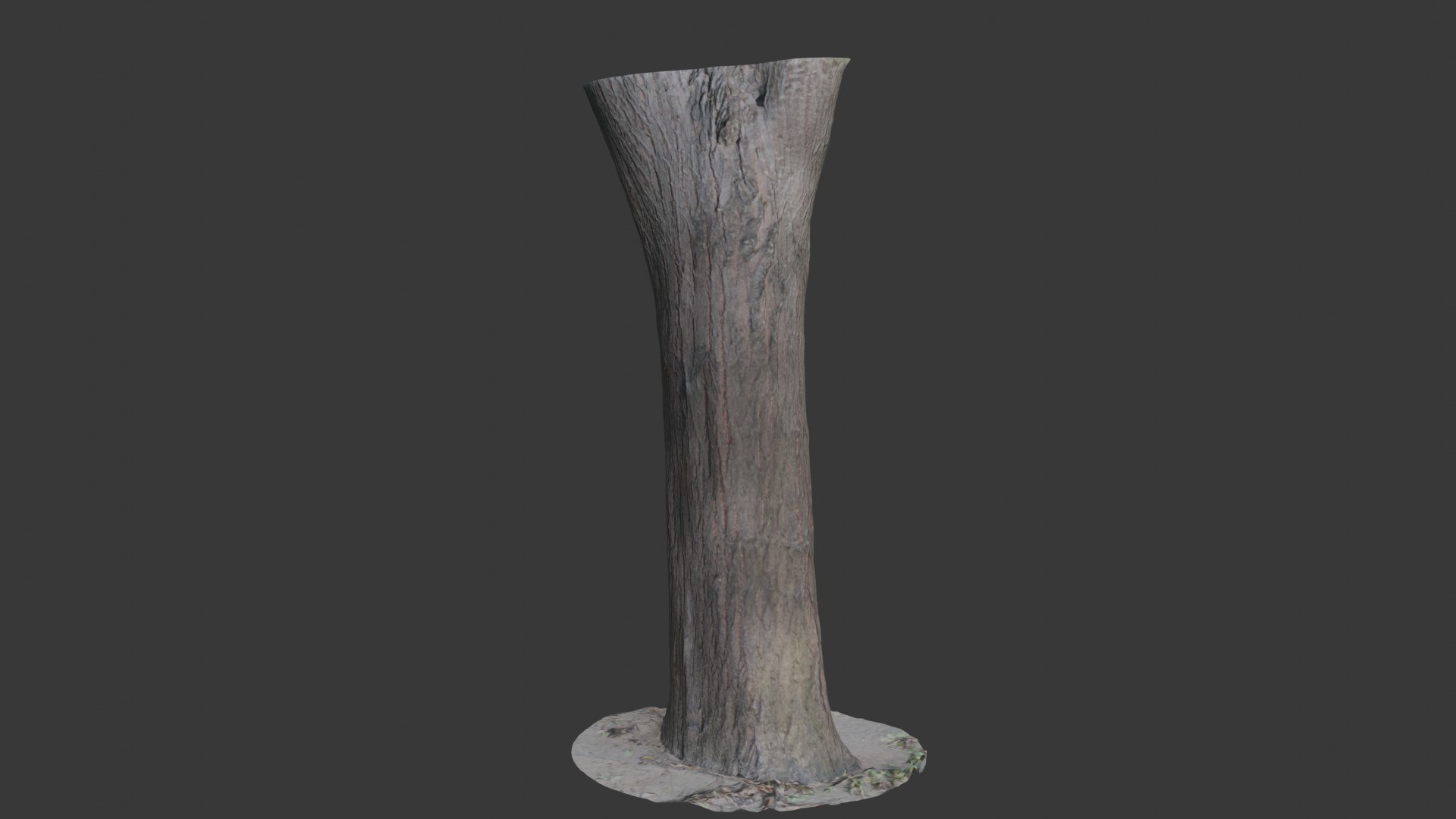 Tree Trunk 3D Scan 3D Model - TurboSquid 2395255