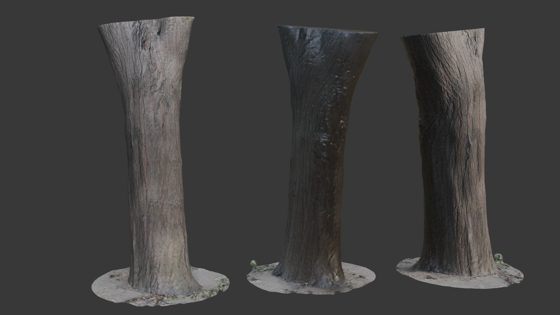 Tree Trunk 3D Scan 3D Model - TurboSquid 2395255