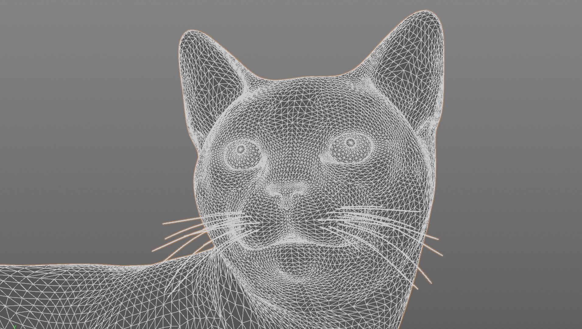 Cat 3D Model - TurboSquid 2030323
