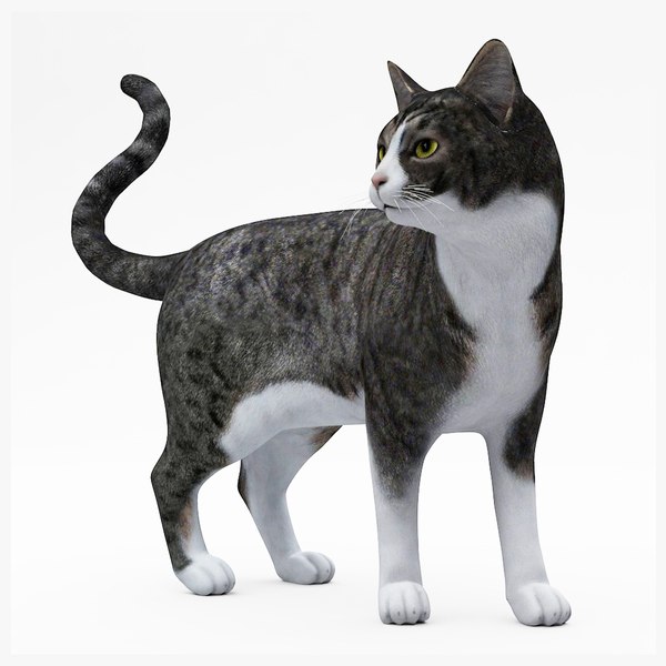 Cat STL Models for Download | TurboSquid