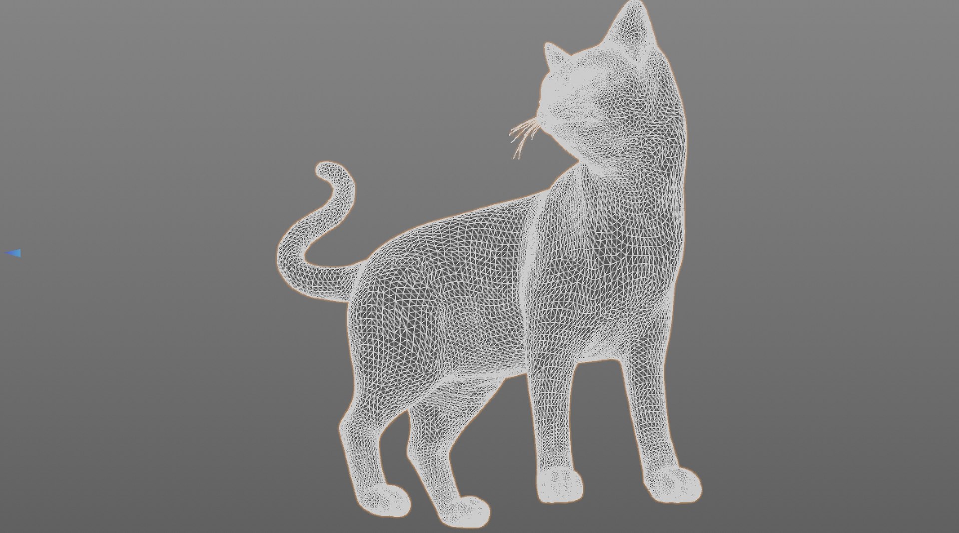 Cat 3D Model - TurboSquid 2030323