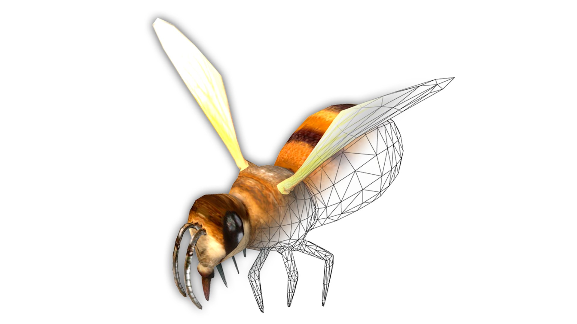 3d 3ds Bee Animation