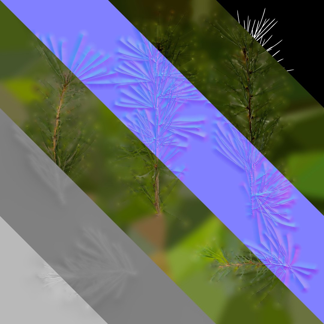 Anydrafts Cedrus Deodara Textures Pack 3D - TurboSquid 2323537