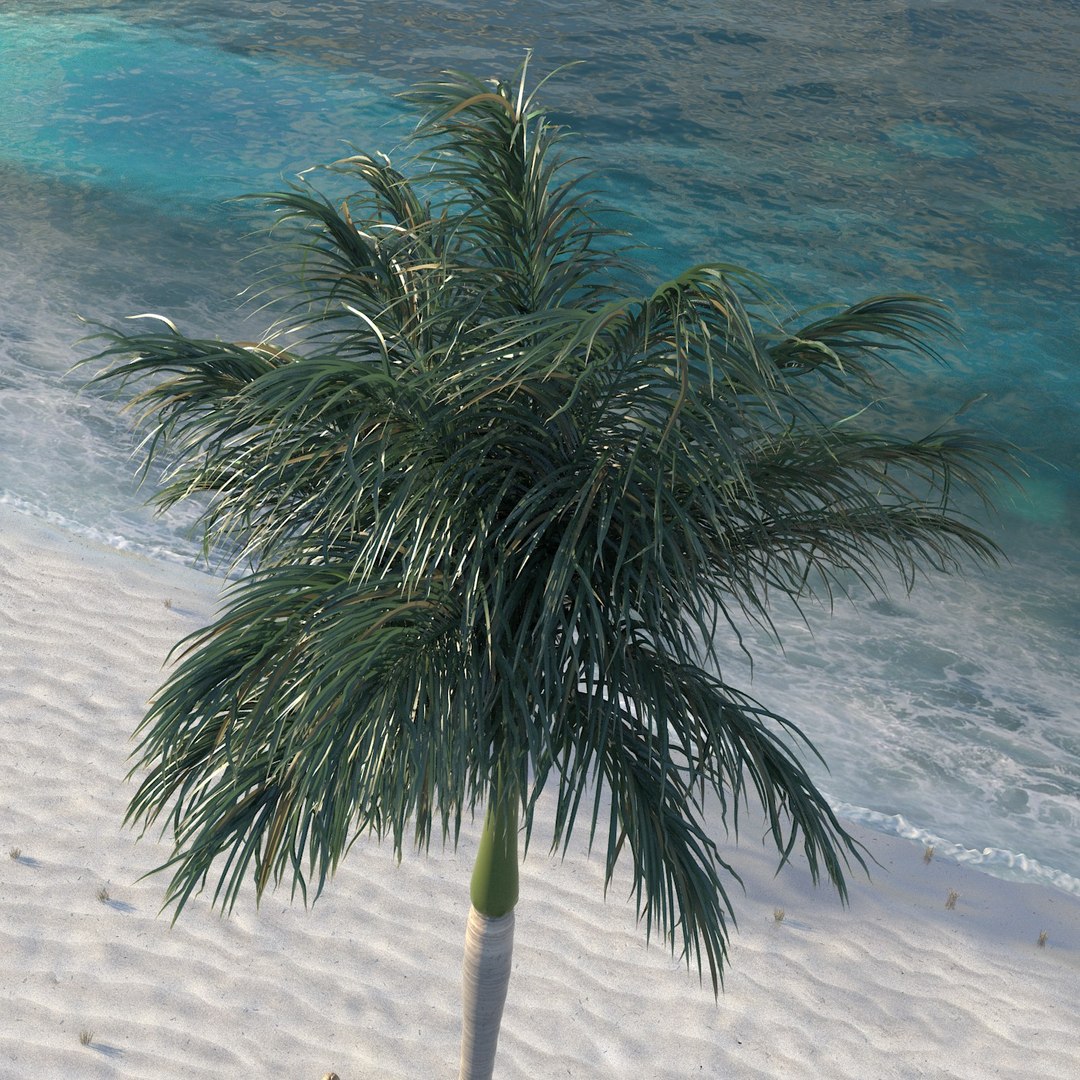 3ds Max Royal Palm Tree