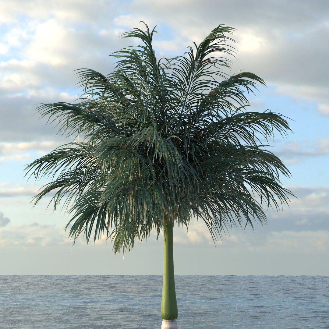 3ds Max Royal Palm Tree