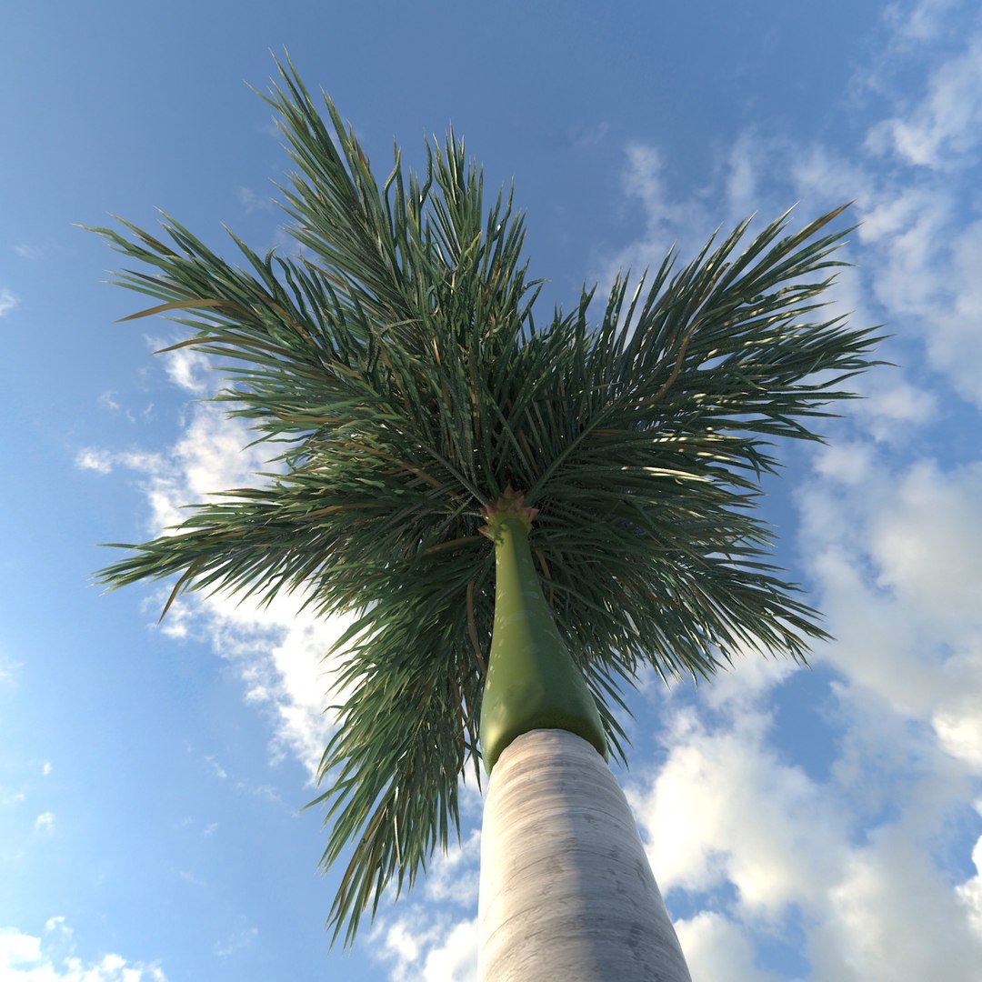 3ds Max Royal Palm Tree