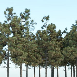 Download Free & Premium Tree 3dmodel 3D Models | TurboSquid