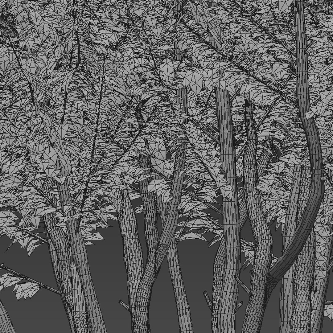 3D Model Set Of Dynamite Crepe Myrtle Or Lagerstroemia Tree - 3 Trees ...