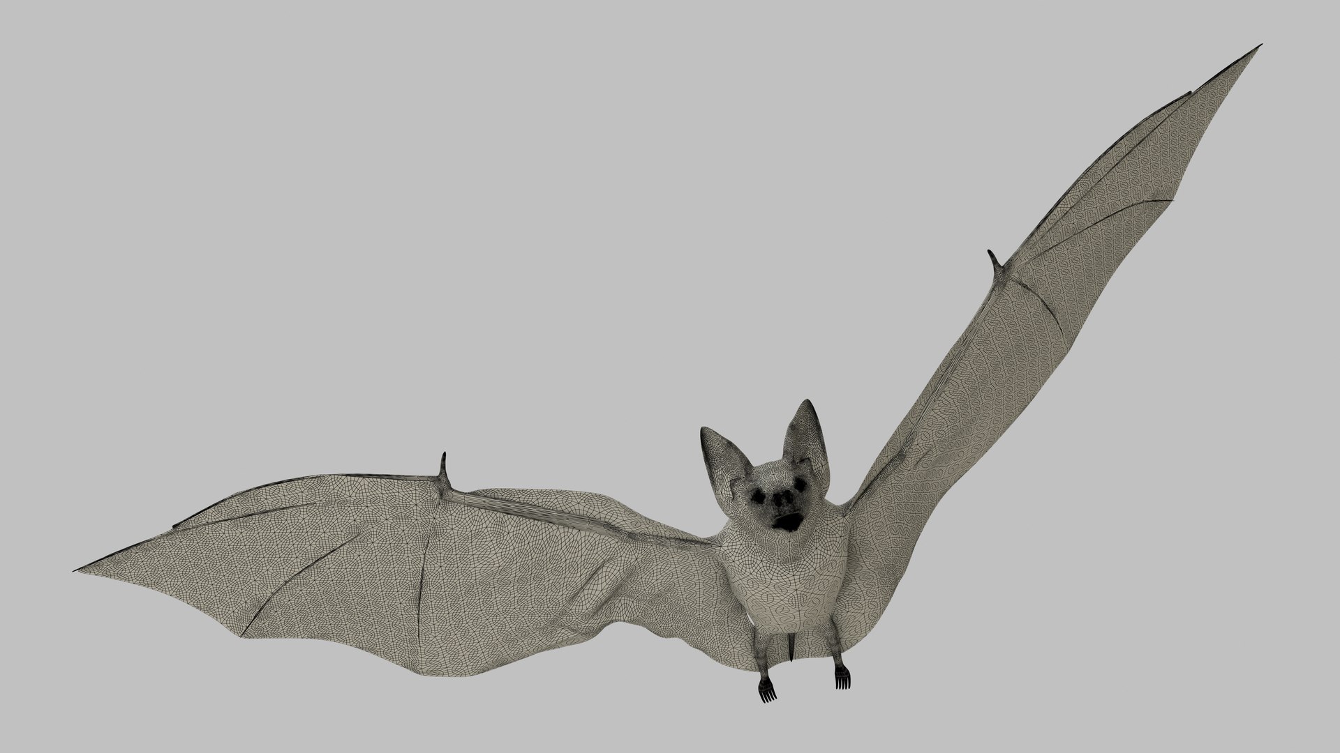 Little Brown Bat 8K 3D Model - TurboSquid 2270037