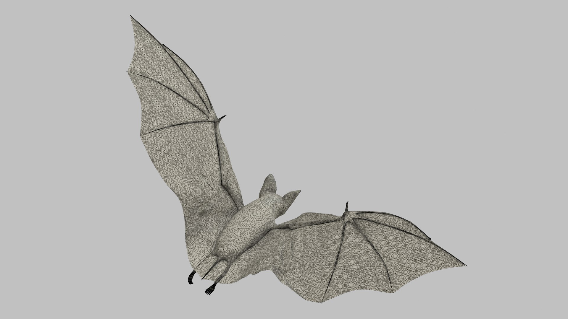 Little Brown Bat 8K 3D Model - TurboSquid 2270037