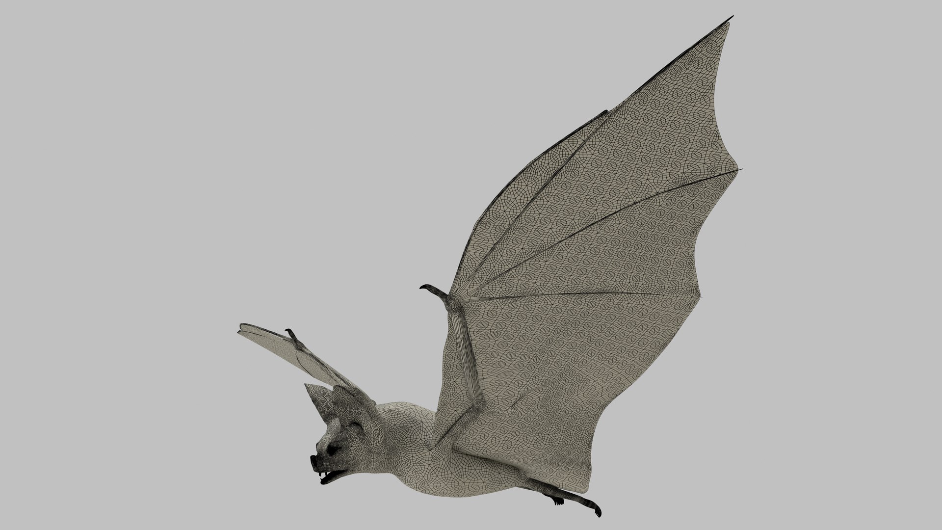 Little Brown Bat 8K 3D Model - TurboSquid 2270037