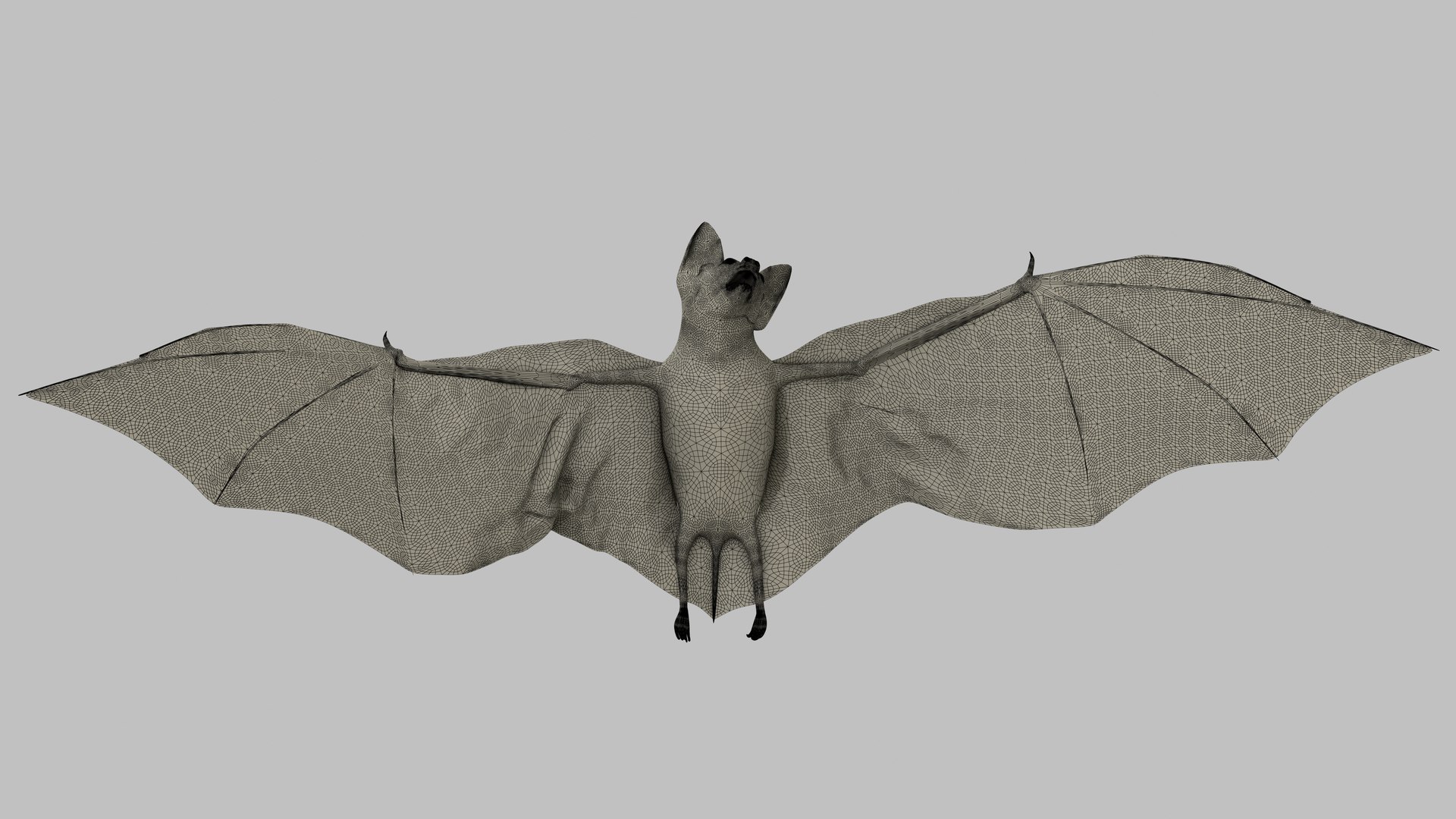 Little Brown Bat 8K 3D Model - TurboSquid 2270037