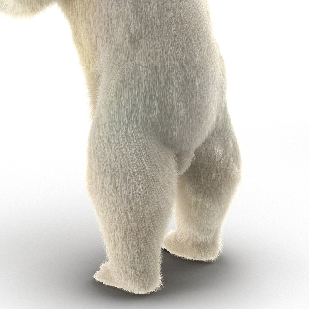 polar bear fur pose 3d ma