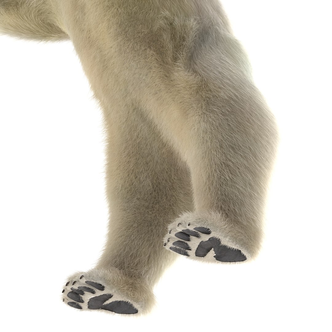 polar bear fur pose 3d ma