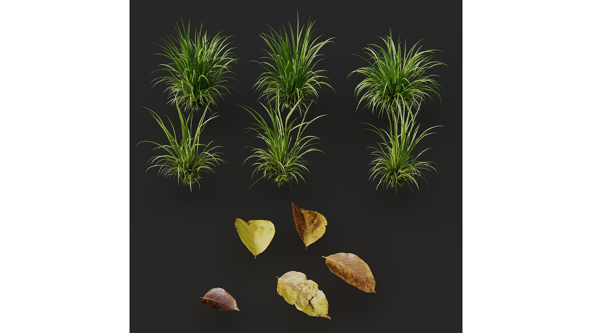 3D HQ Grass Linear Meadow - TurboSquid 2141960