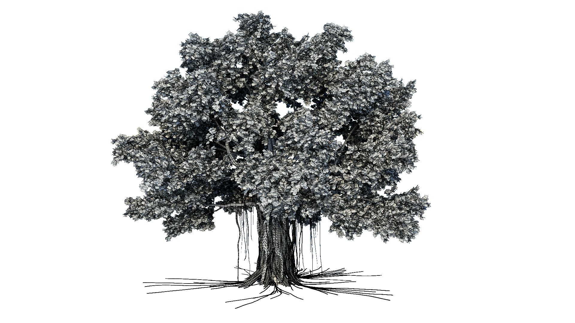 Banyan Tree 3D Model - TurboSquid 1864712