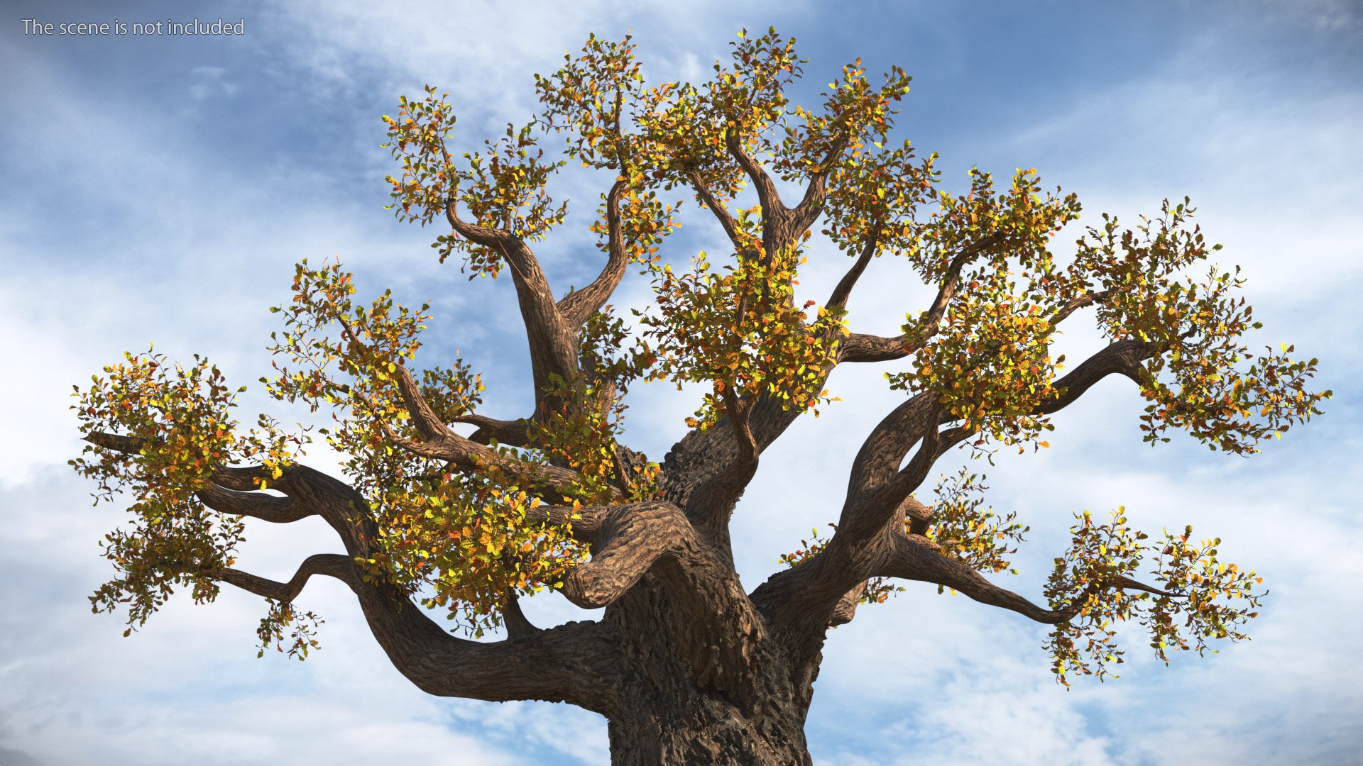 Twisted Oak Tree Massive Trunk Yellow Model - TurboSquid 2516106