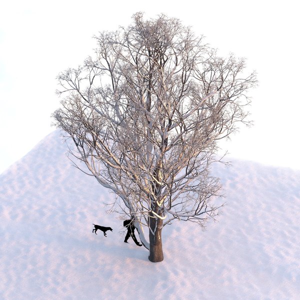 3d model winter tree