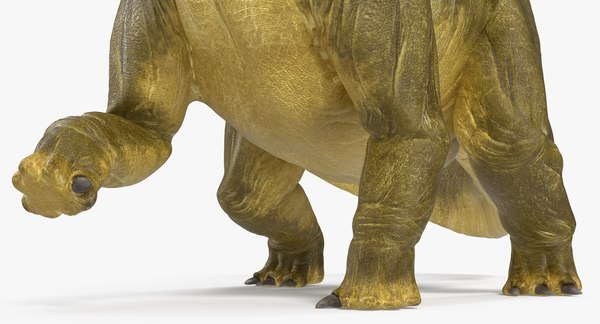 Maya 용 Dinosaurs Rigged Collection 3 3D 모델 - TurboSquid 1515175