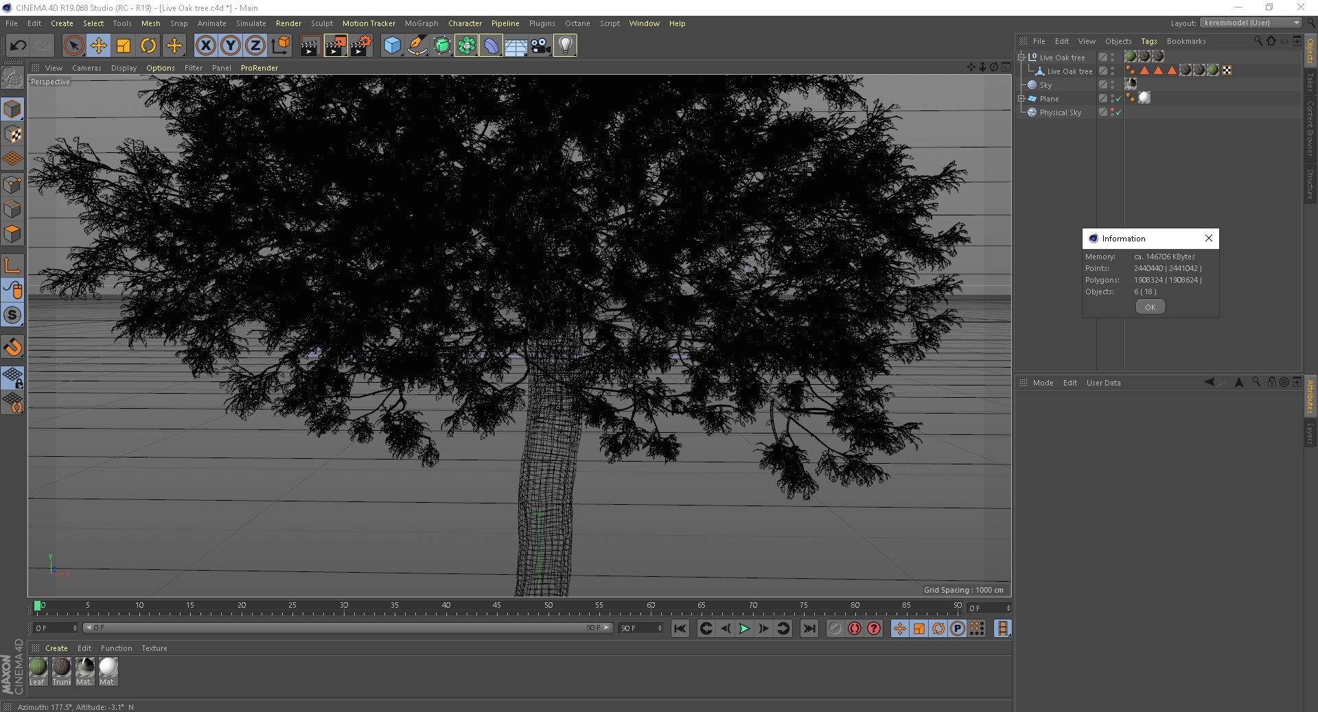 Live Oak Tree 3D Model - TurboSquid 1397211