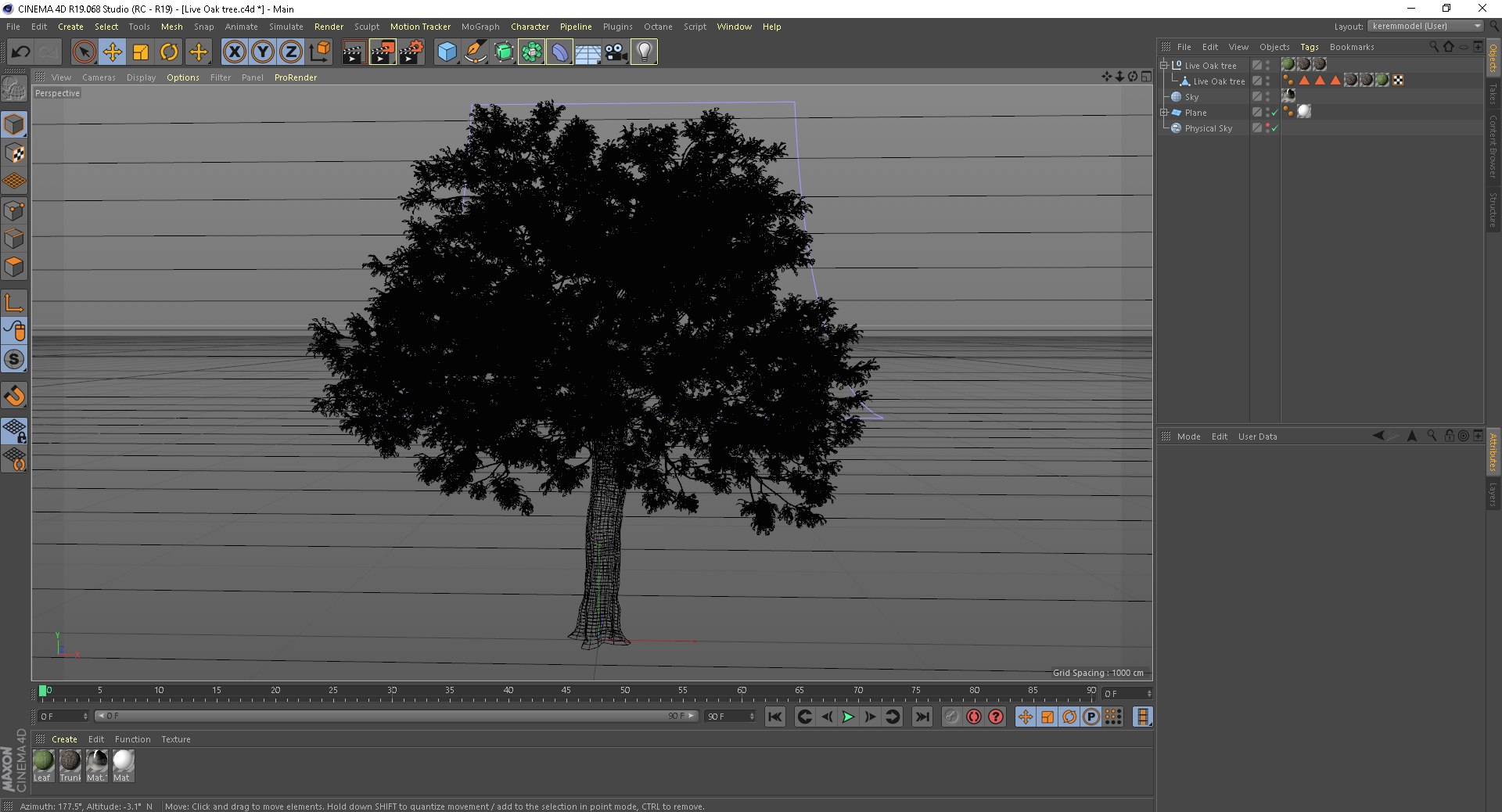 Live Oak Tree 3D Model - TurboSquid 1397211