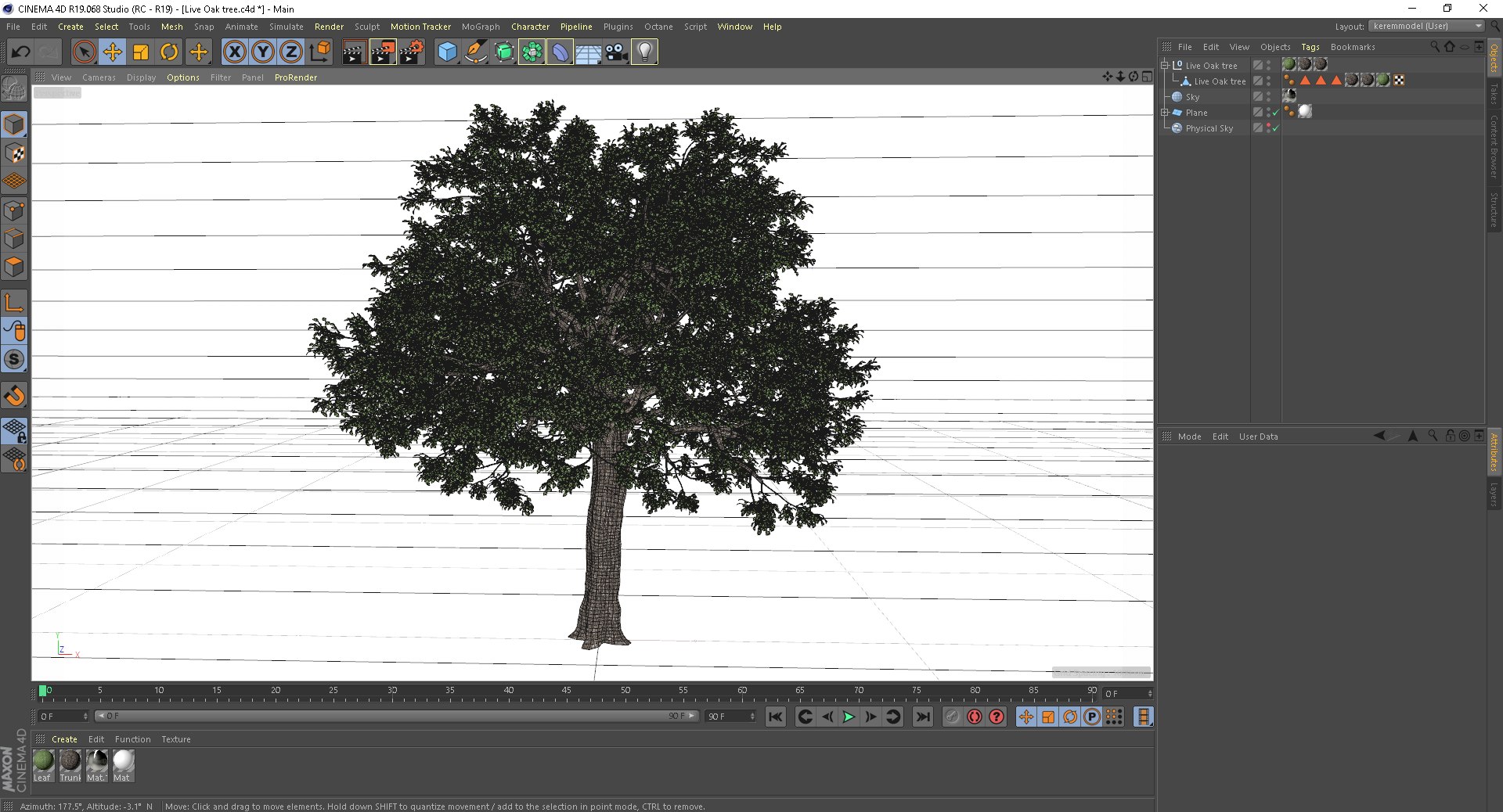 Live Oak Tree 3D Model - TurboSquid 1397211