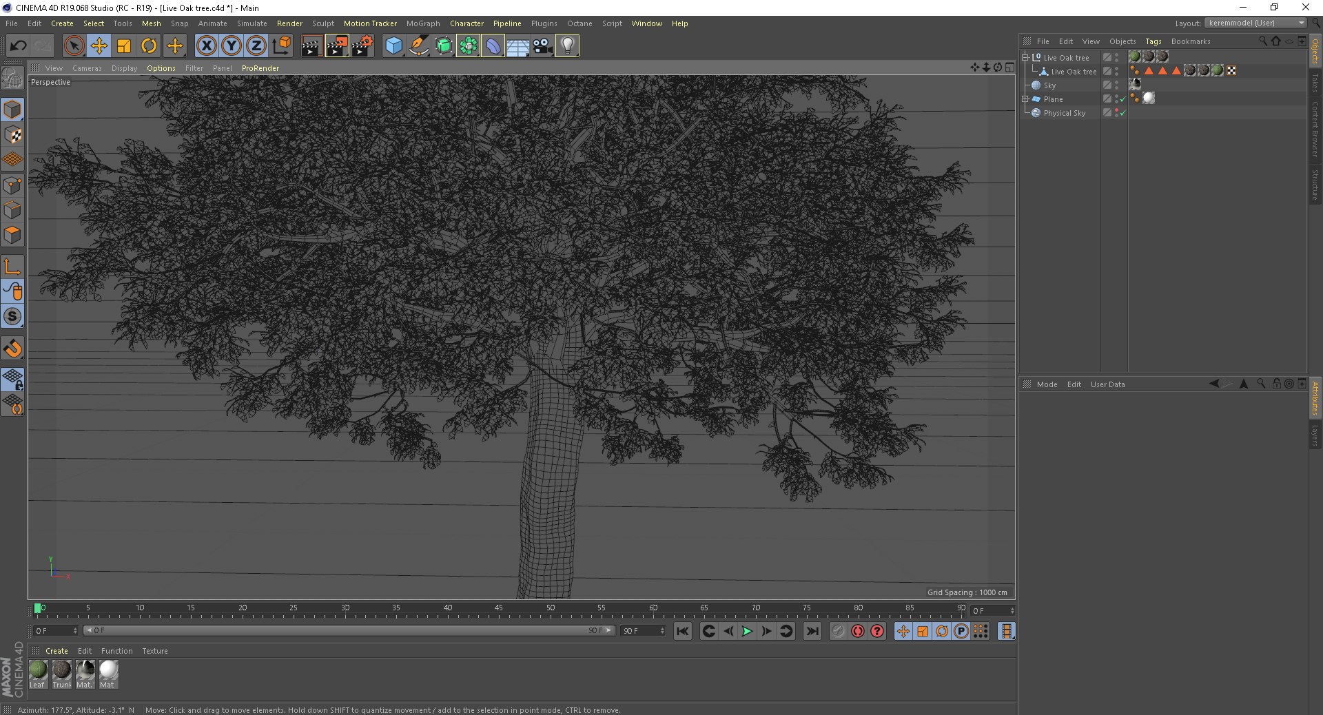 Live Oak Tree 3D Model - TurboSquid 1397211