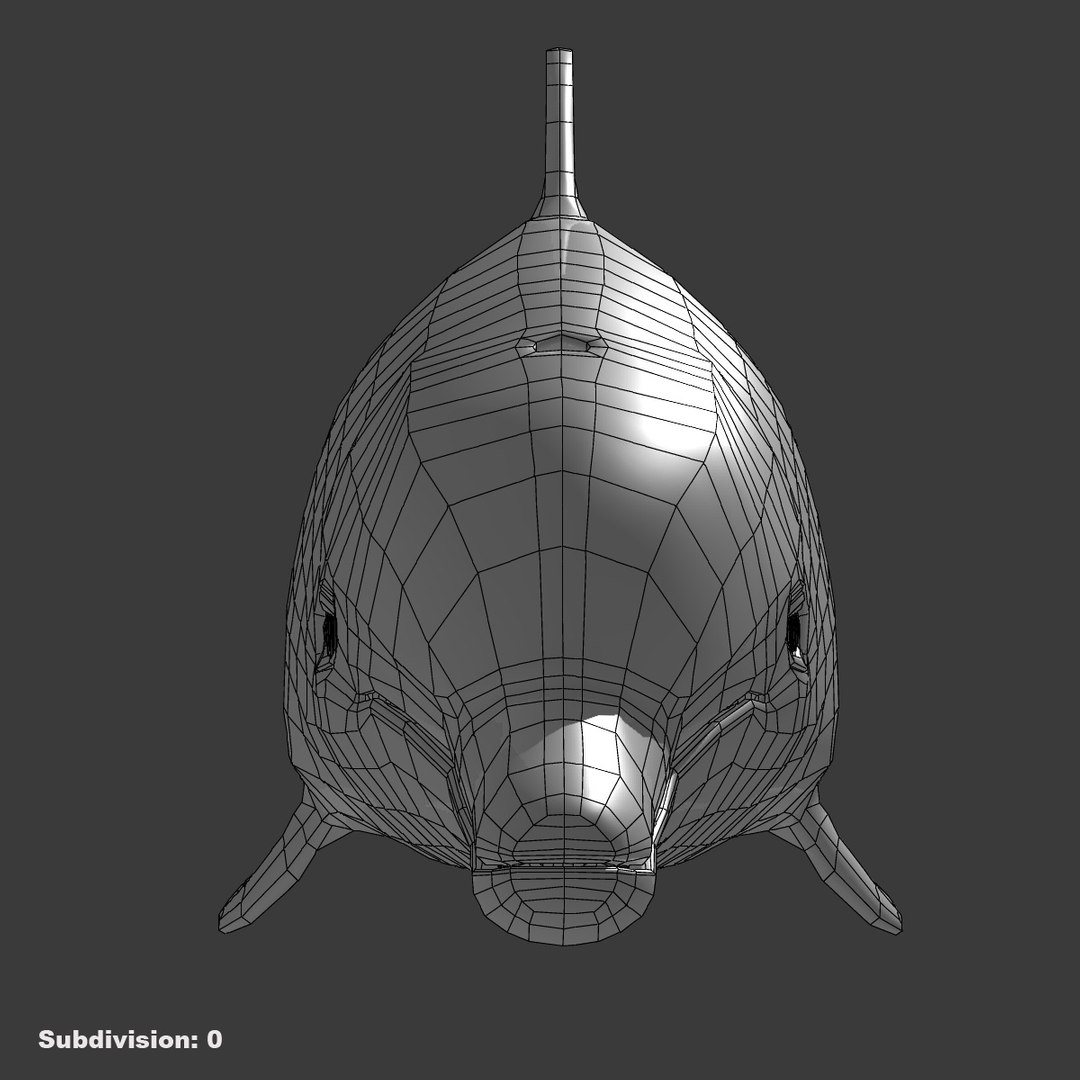 bottlenose dolphin rig ma