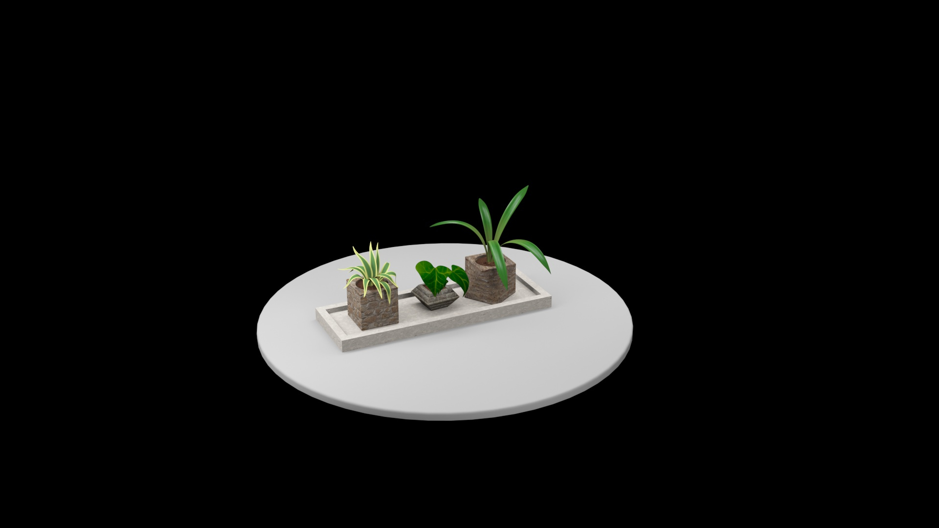 3D Leaves in flower pots model - TurboSquid 2089090