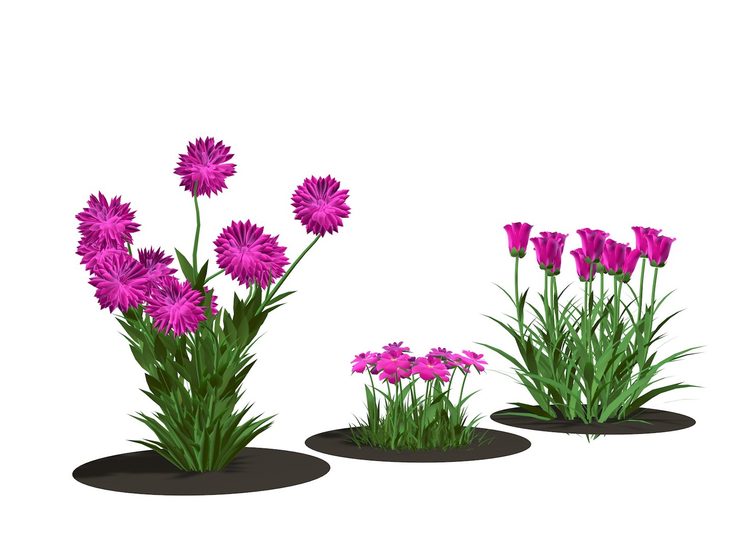 3D Flower Pink Model - TurboSquid 1519888