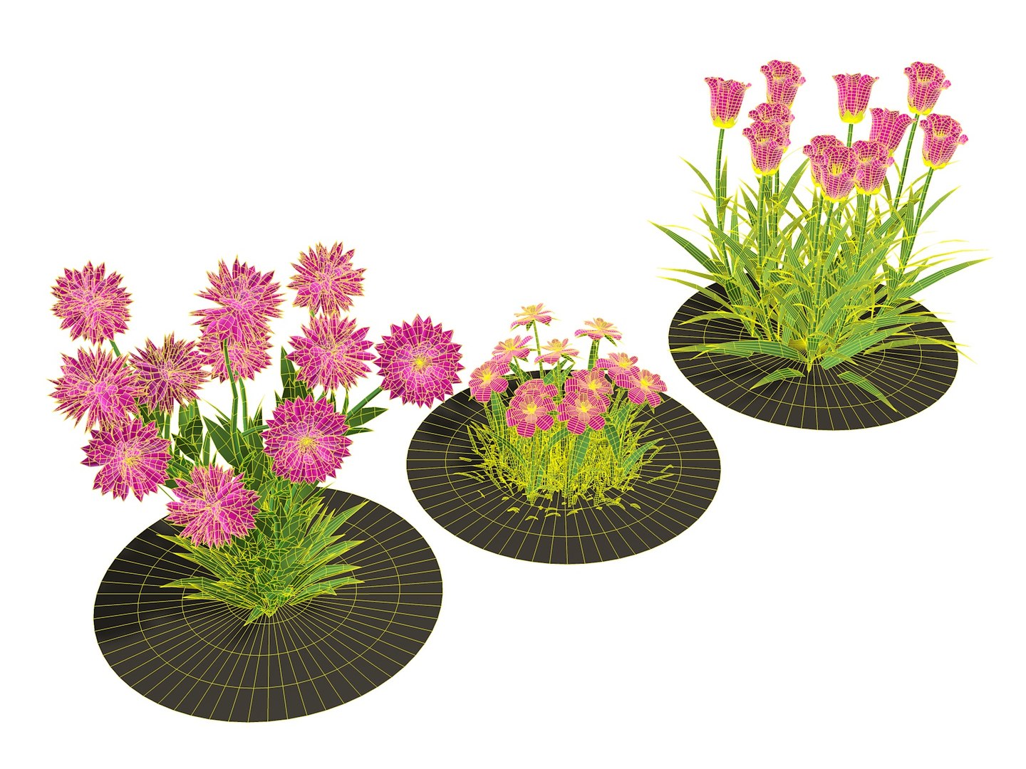 3D Flower Pink Model - TurboSquid 1519888