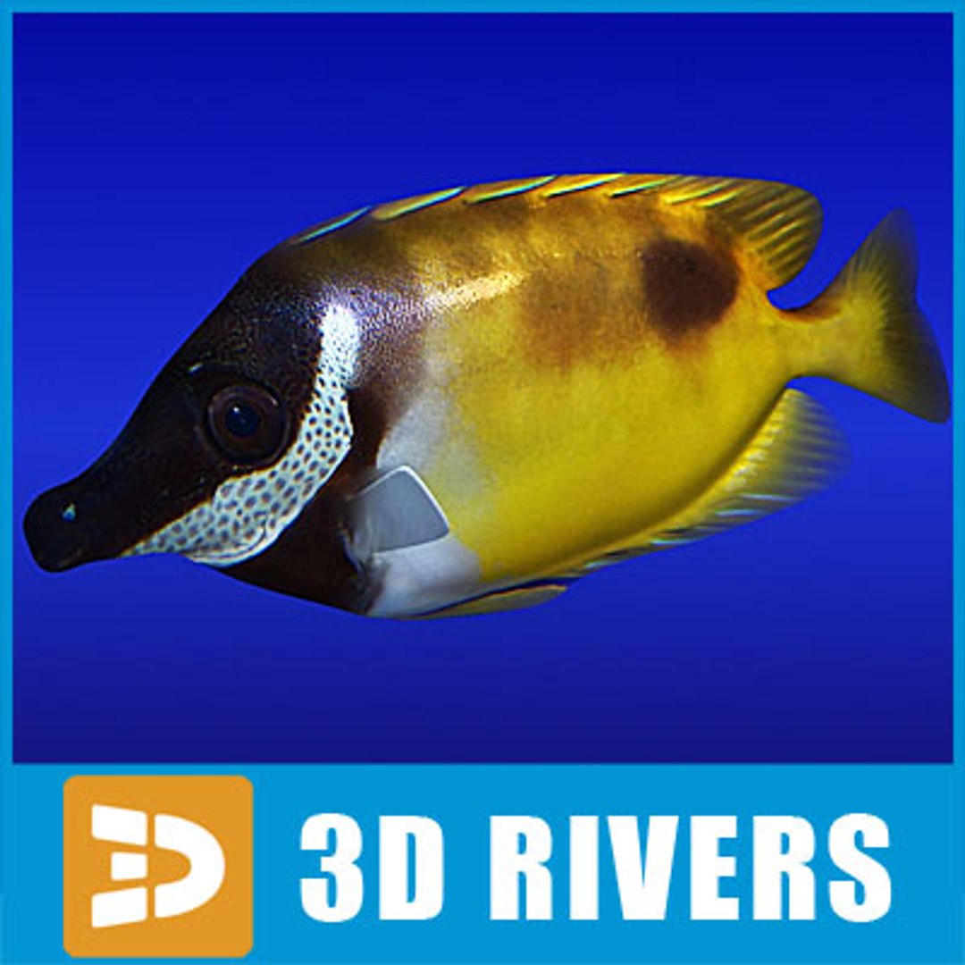 modelo 3d RabbitFish por 3DRivers - TurboSquid 450356