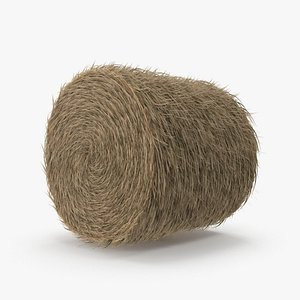 3D Haystack Models - Browse & Download Formats - TurboSquid